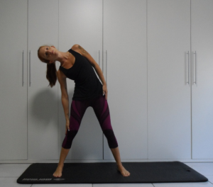 Os 17 Melhores Exercícios Para O Desenvolvimento Da Flexibilidade!